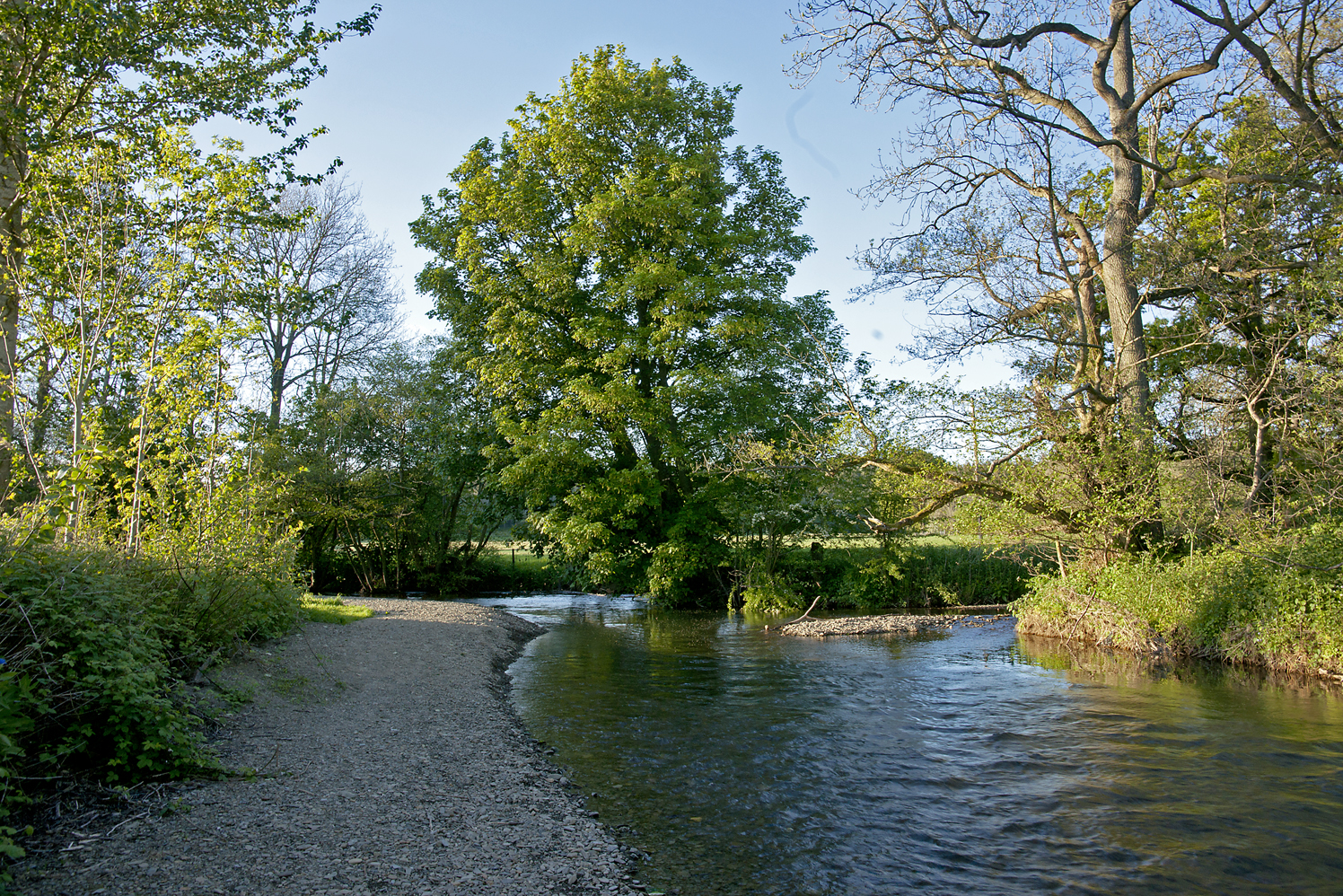 Powys rivers – Brecon & Radnor Branch of CPRW